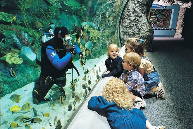 Aquarium of the Pacific — Long Beach