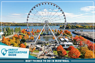 Best Things To Do In Montreal