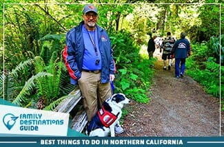 Best Things To Do In Northern California