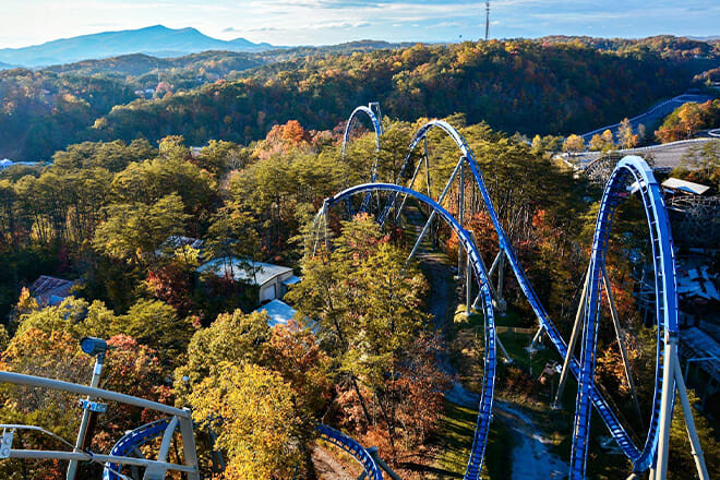 Dollywood — Downtown