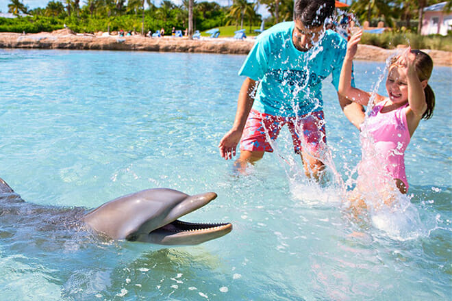 Dolphin Cay — Paradise Island