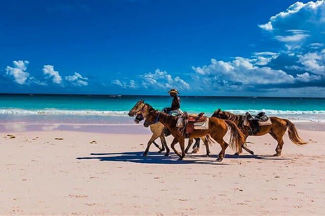 Happy Trails Stables — Nassau