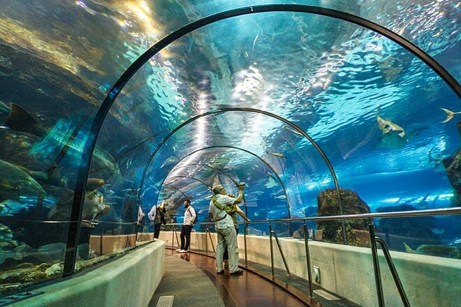 L’aquarium Barcelona