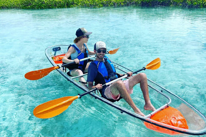 Mangrove & Iguana Clear Kayak Tour