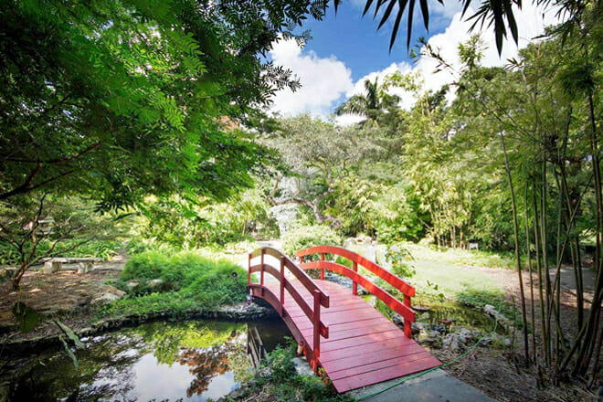 Miami Beach Botanical Garden — Convention Center Drive