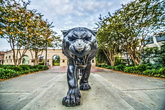 Mike The Tiger Habitat
