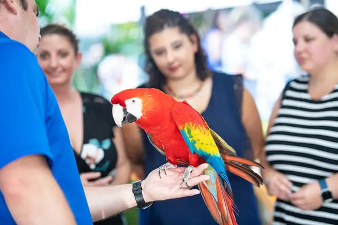 National Aviary