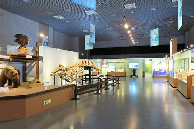 Museu Nacional da Natureza e da Ciência — Taito