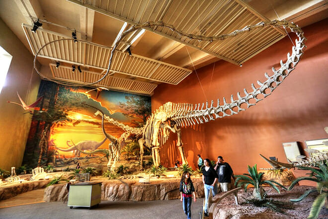 New Mexico Museum Of Natural History And Science