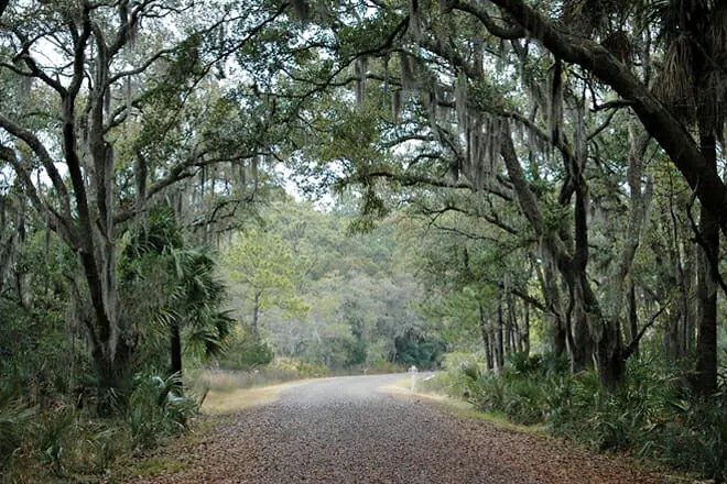Pinckney Island National Wildlife Refuge