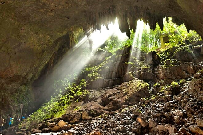 Rio Camuy Cave Park — South Quebrada