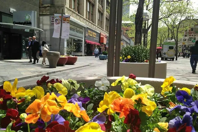 16th Street Mall