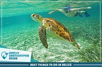 Best Things To Do In Belize