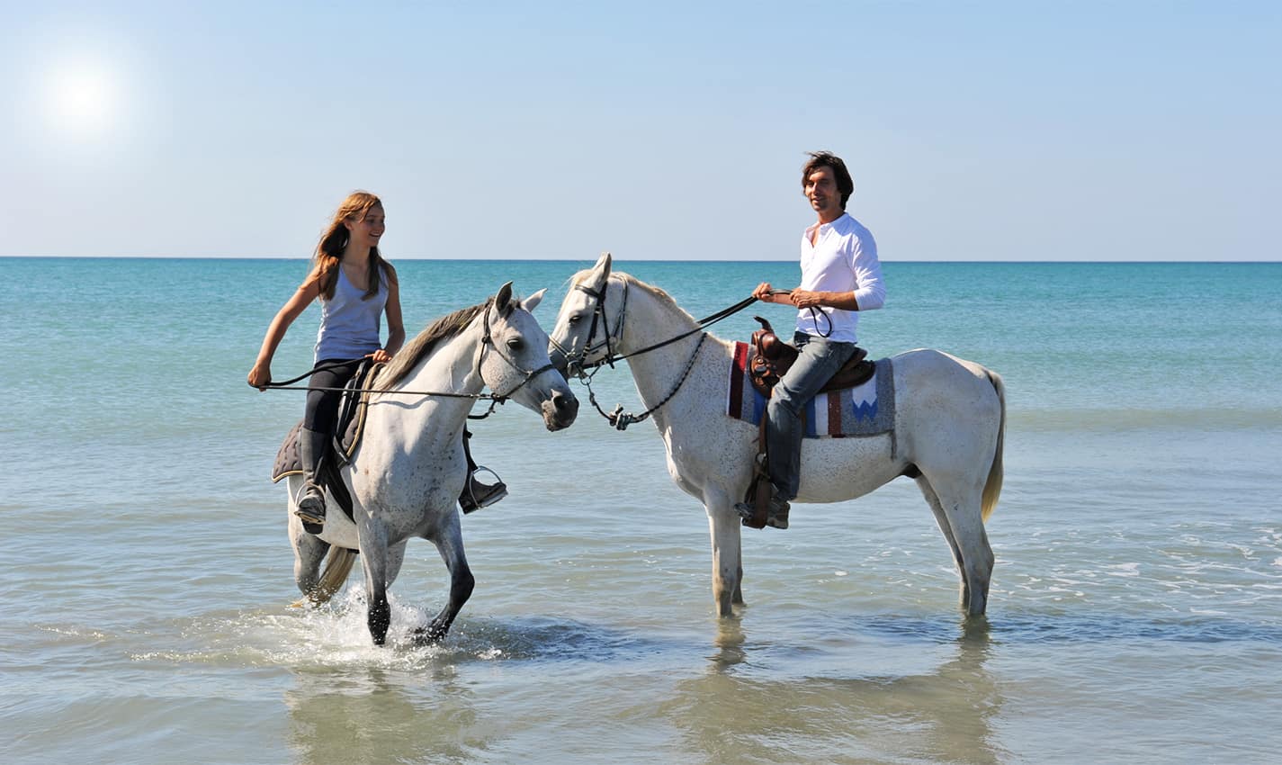 Horses on the beach corpus christi