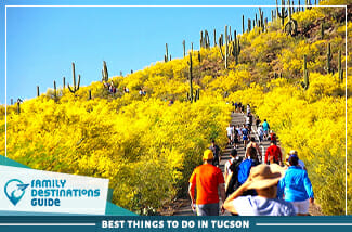 Best Things To Do In Tucson