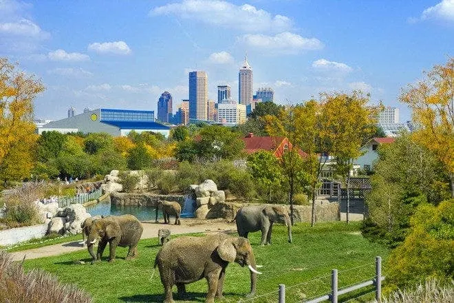 City Park