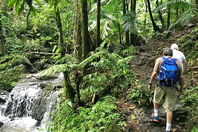 El Yunque National Forest