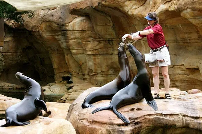Memphis Zoo