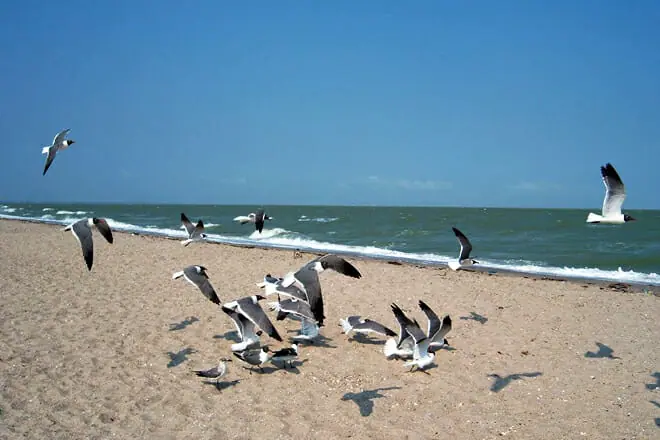 North Beach