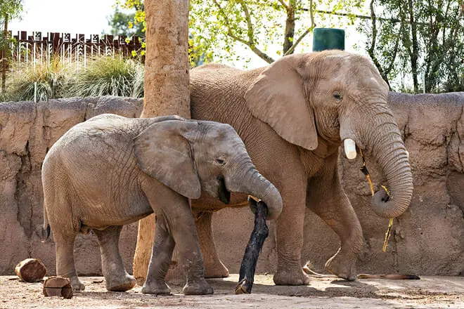 Reid Park Zoo