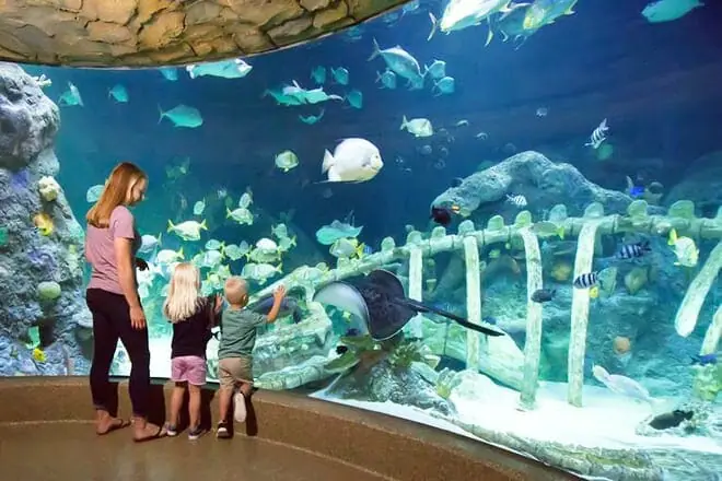 SEA LIFE Kansas City