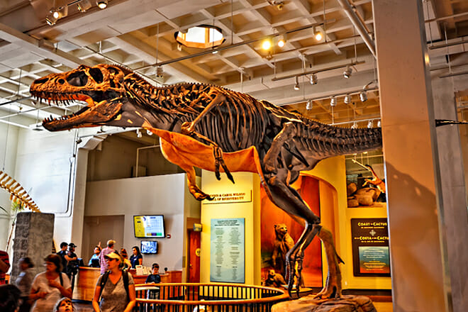 Museu de História Natural de San Diego