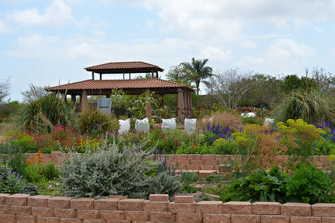 South Texas Botanical Gardens And Nature Center