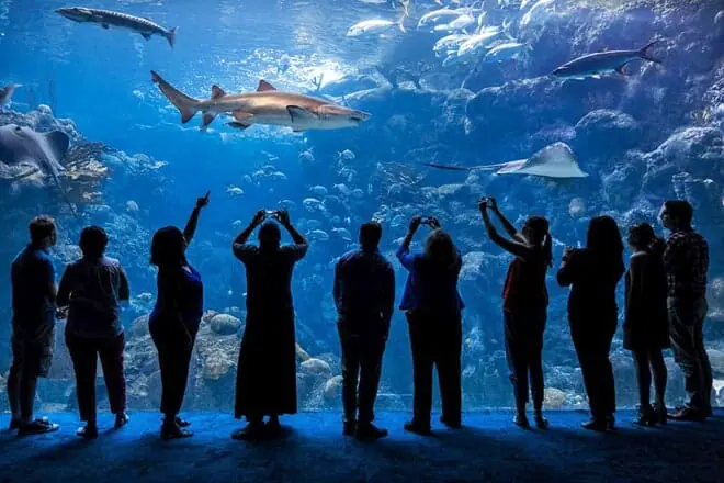 The Florida Aquarium