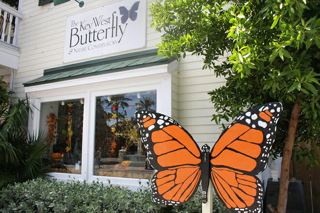 The Key West Butterfly And Nature Conservatory