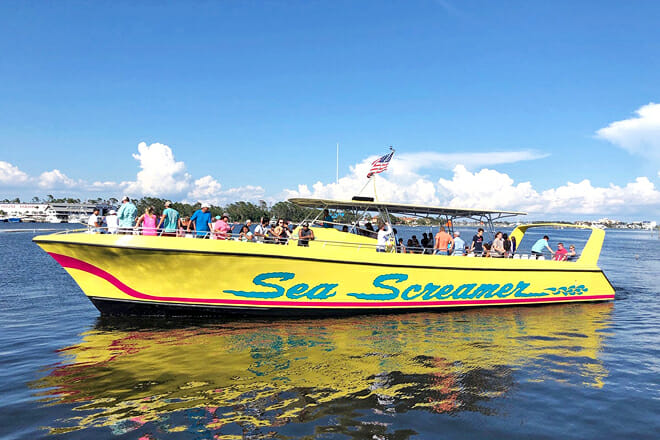 The Sea Screamer – Dolphin Sightseeing Cruise