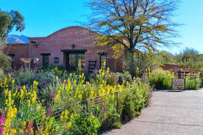 Tohono Chul Park