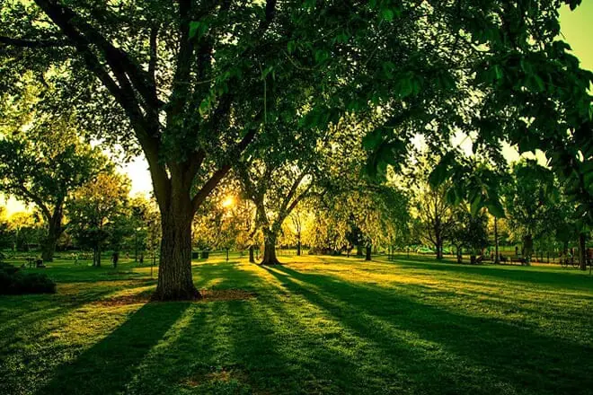 Washington Park