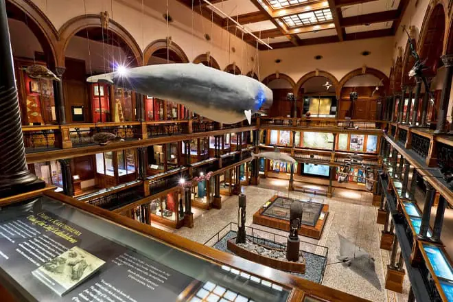 Bishop Museum