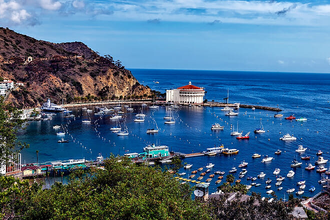 Catalina Island — Santa Catalina