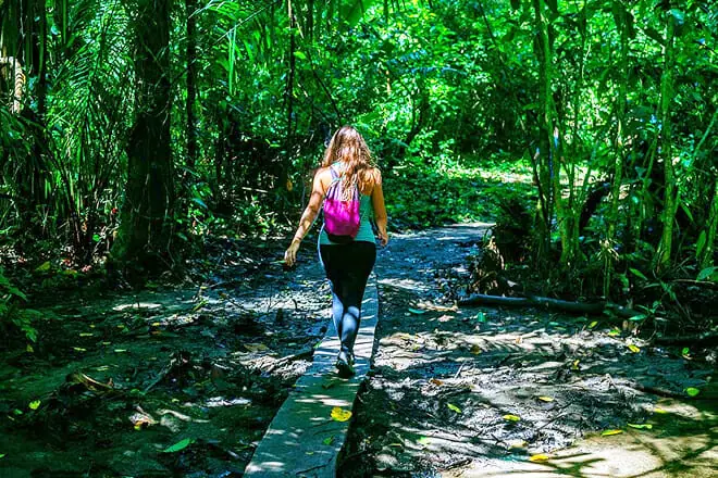 Corcovado National Park
