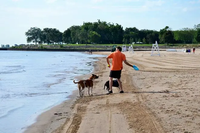 Foster Beach