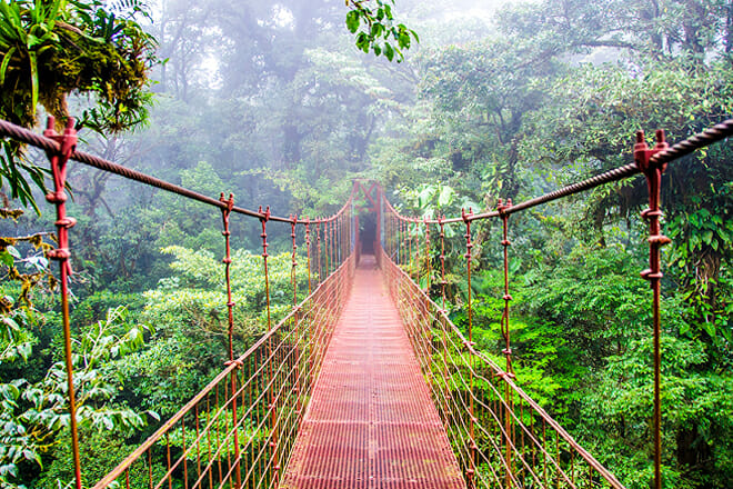 Monteverde Rainforest