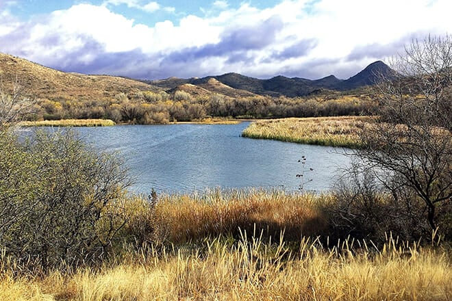 Patagonia Lake State Park