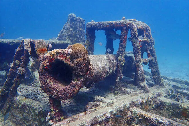 Pedernales Wreck By Happy Divers Aruba — Noord