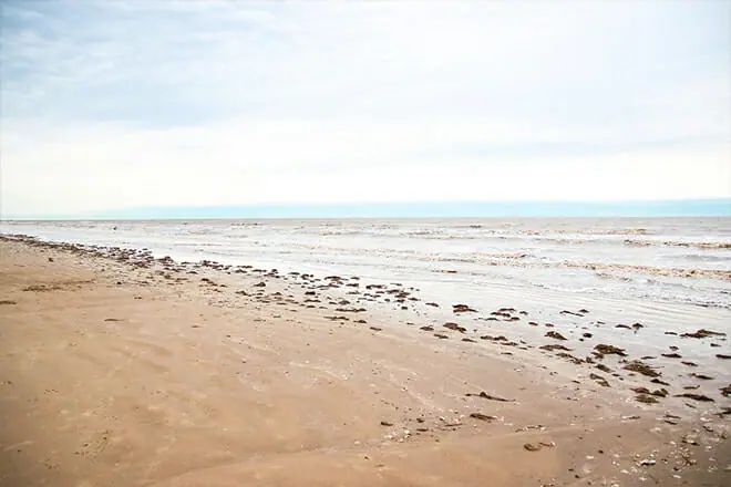 Sea Rim State Park