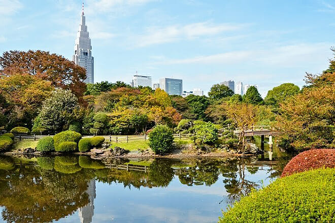 Shinjuku Gyoen National Garden — Shinjuku City