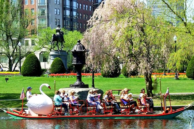 Swan Boat Ride