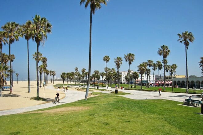 Venice City Beach