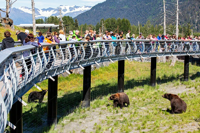 Alaska Wildlife Conservation Center — Girdwood