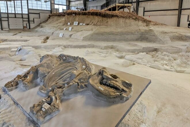 Ashfall Fossil Beds State Historical Park — Royal