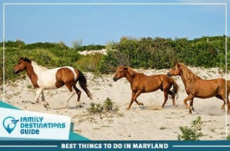 Best Things To Do In Maryland