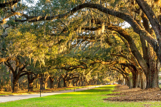 Boone Hall Plantation And Gardens — Mount Pleasant
