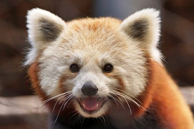 Brandywine Zoo — Wilmington