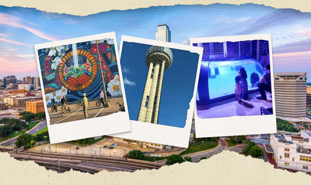 fun things to do in dallas at night travel photo