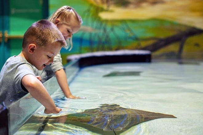 National Mississippi River Museum & Aquarium — Dubuque